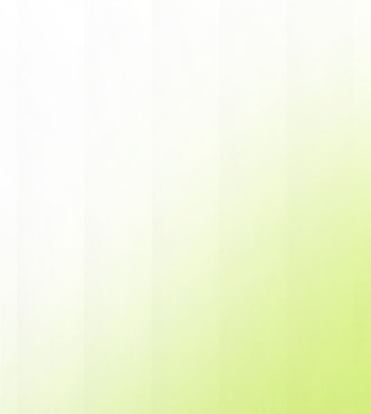 SOX Audit: Step-by-Step Process | Zluri